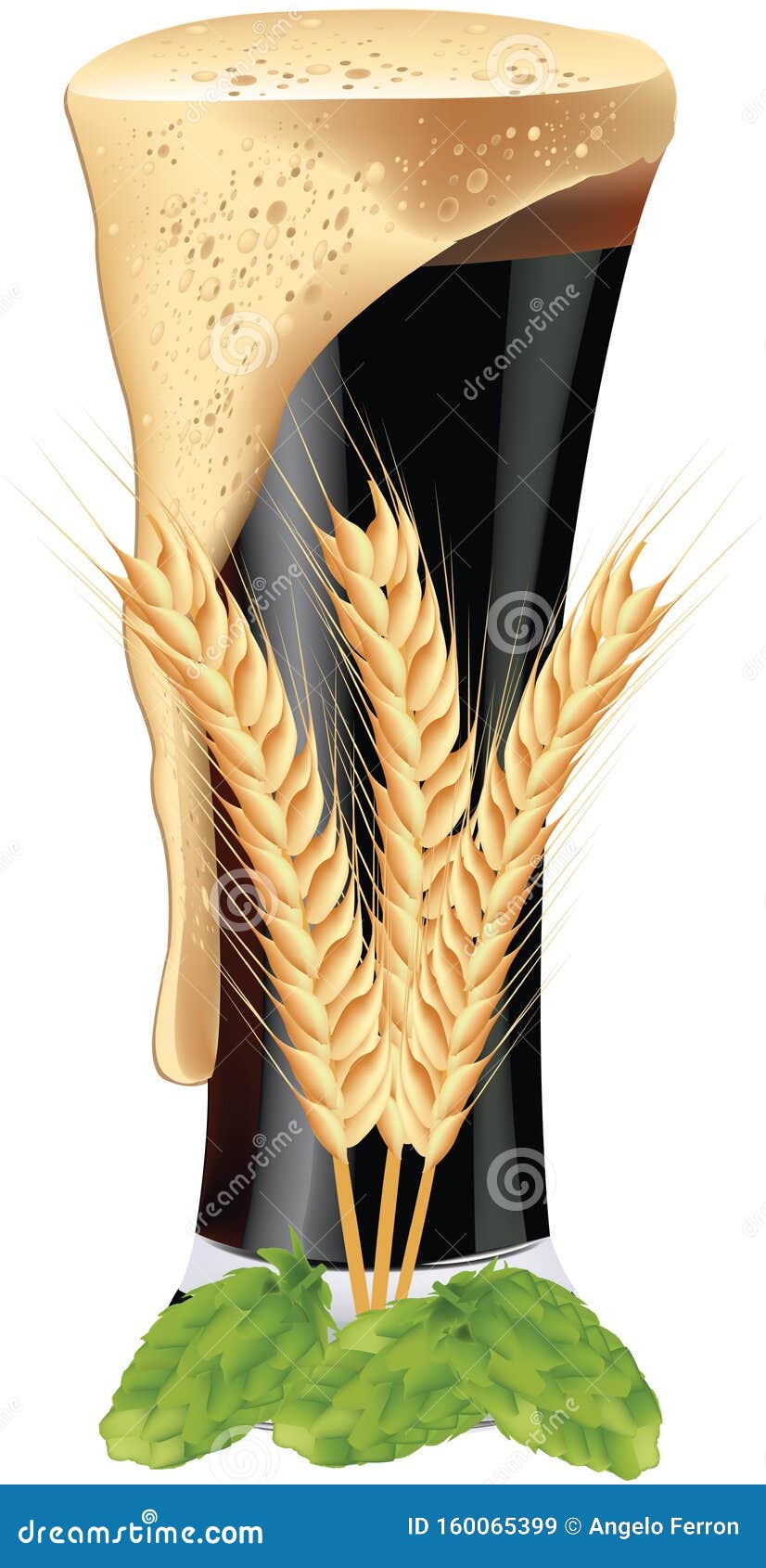 Ears Of Barley Hordeum Vulgare Botanical Drawing Royalty-Free Stock ...