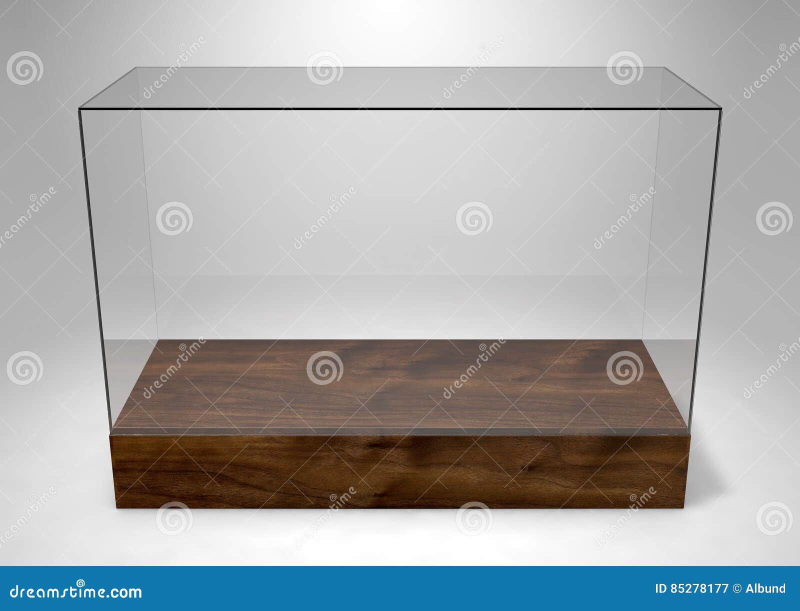 Empty Museum Display Case