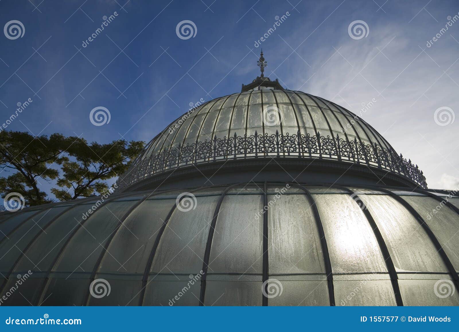 Glass dome stock image. Image of greenhouse, sunlight - 1557577