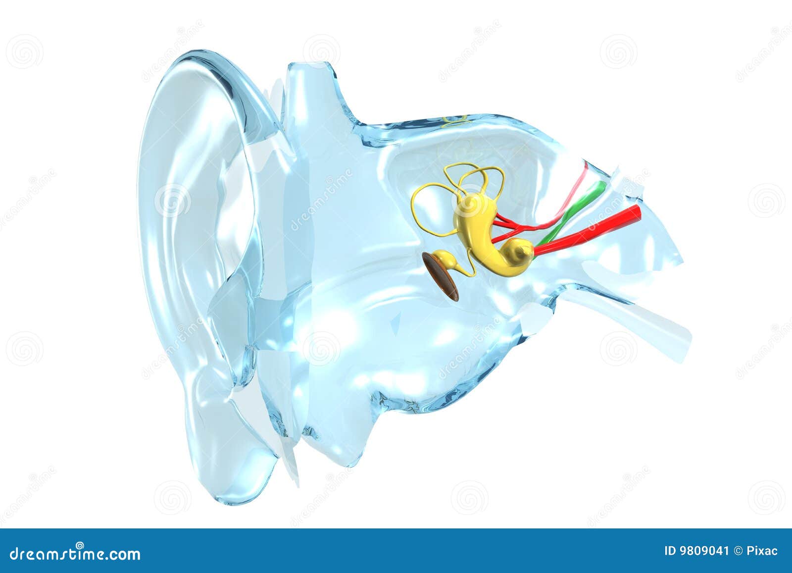 Glass ear stock illustration. Illustration of human, body - 9809041