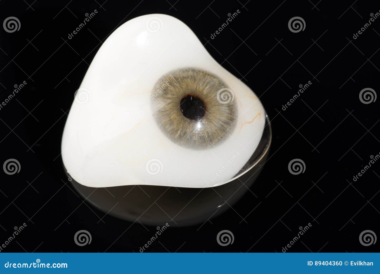 Glass Eye Prosthetic or Ocular Prosthesis on Black Stock Photo - Image ...