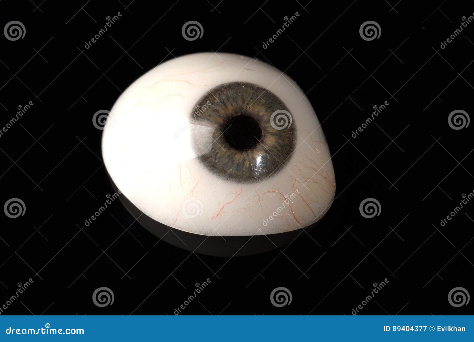 Glass Prosthetic Eye Royalty-Free Stock Photo | CartoonDealer.com #19590201