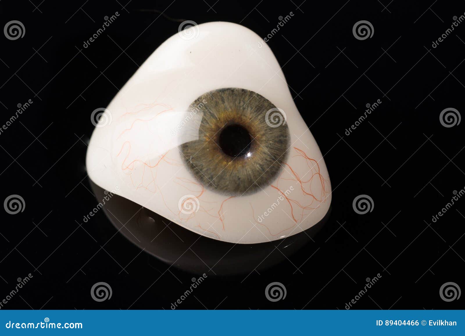 Glass Eye Prosthetic or Ocular Prosthesis on Black Stock Photo - Image ...