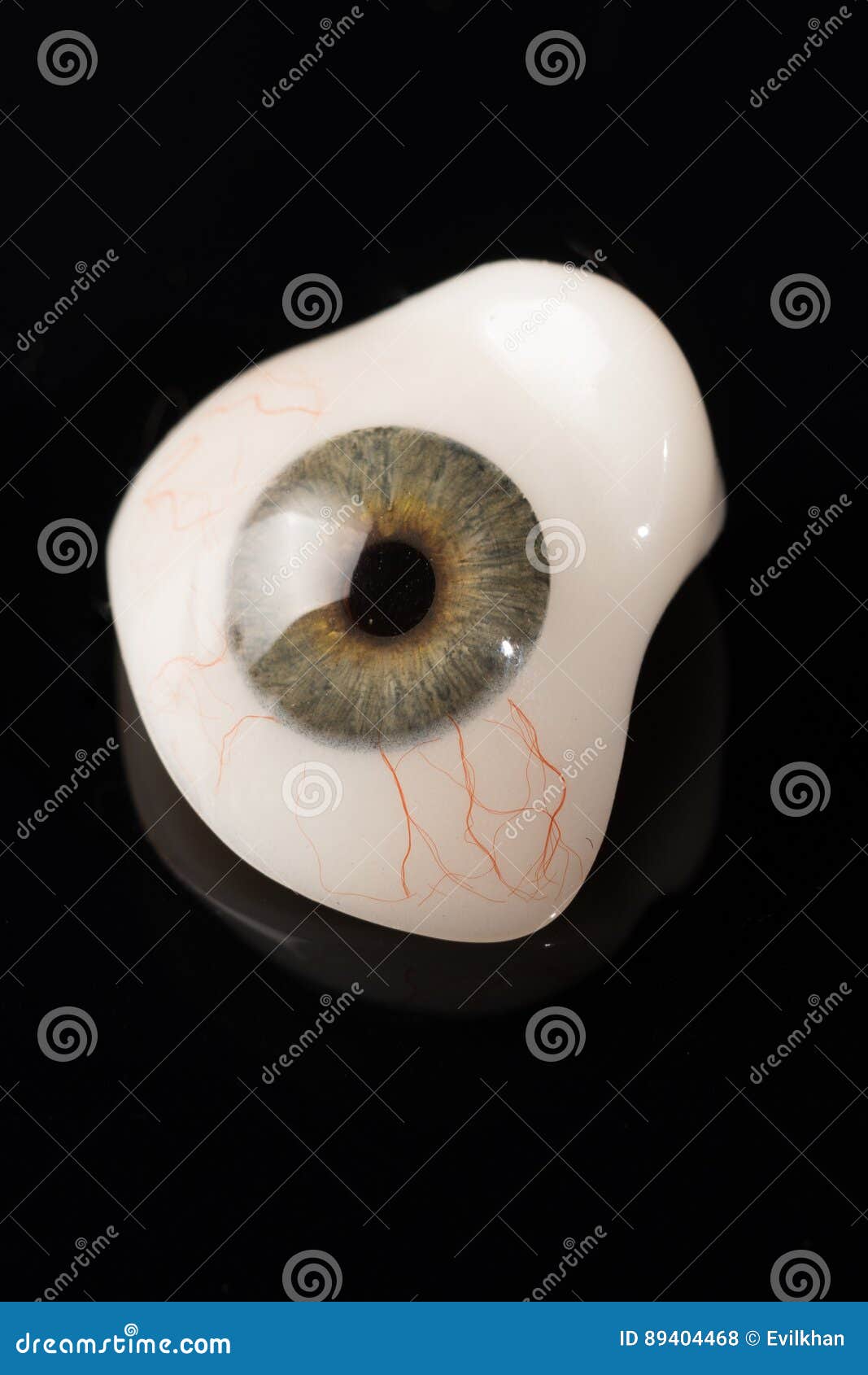 Glass Eye Prosthetic or Ocular Prosthesis on Black Stock Photo - Image ...
