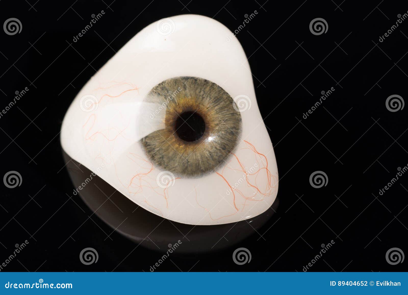 Glass Eye Prosthetic or Ocular Prosthesis on Black Stock Photo - Image ...