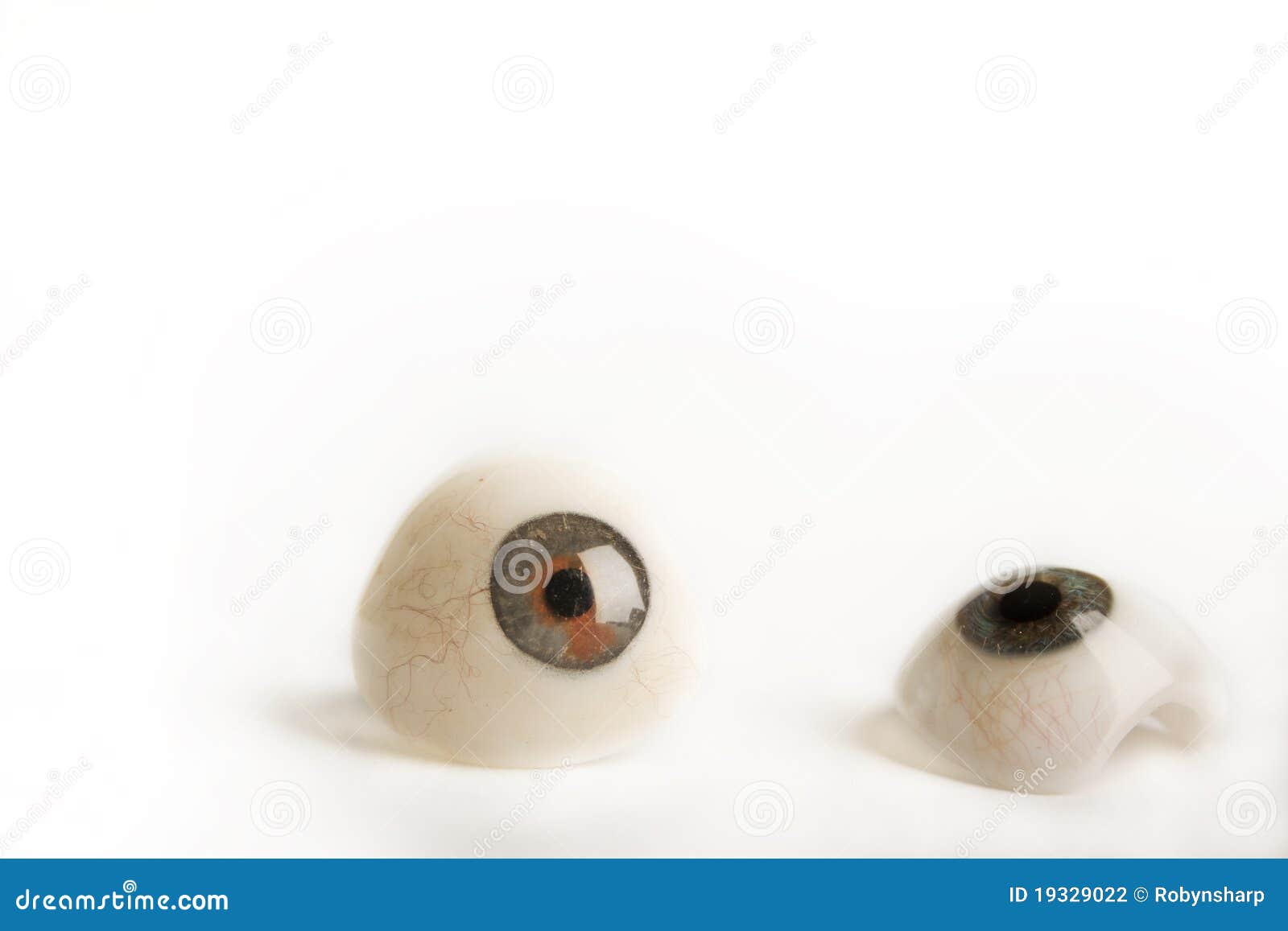 Glass Eyes stock photo. Image of watching, iris, eyeball - 19329022