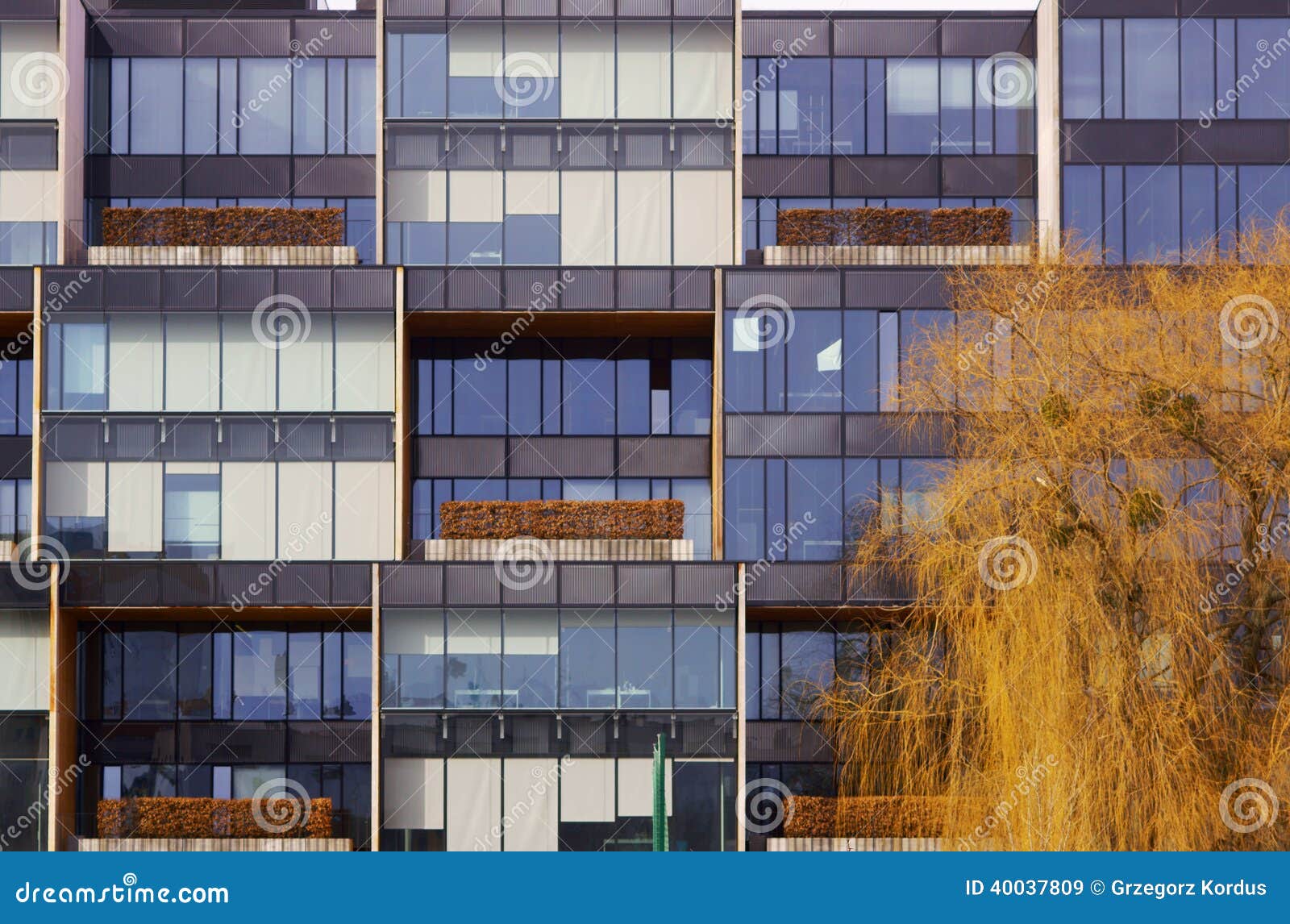 The Glass Facade of the Building and Tree Branches Stock Image - Image ...