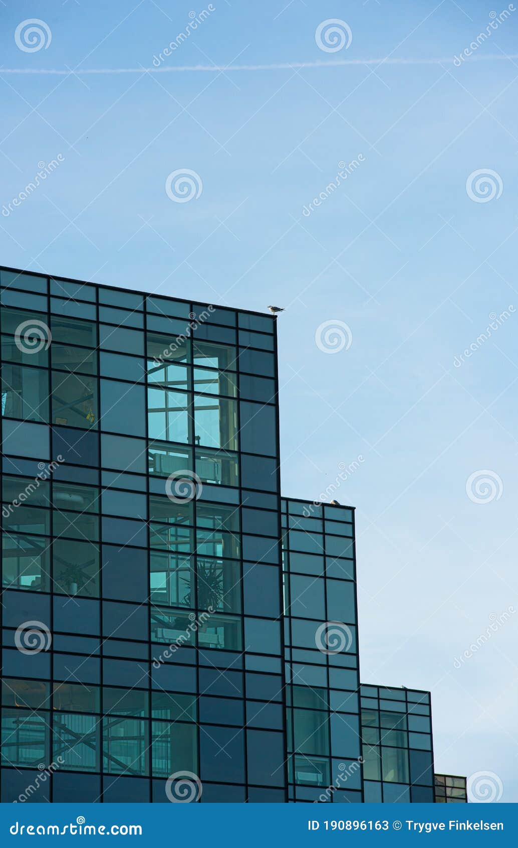 Glass Facade of a High Rise Office Building Stock Image - Image of ...