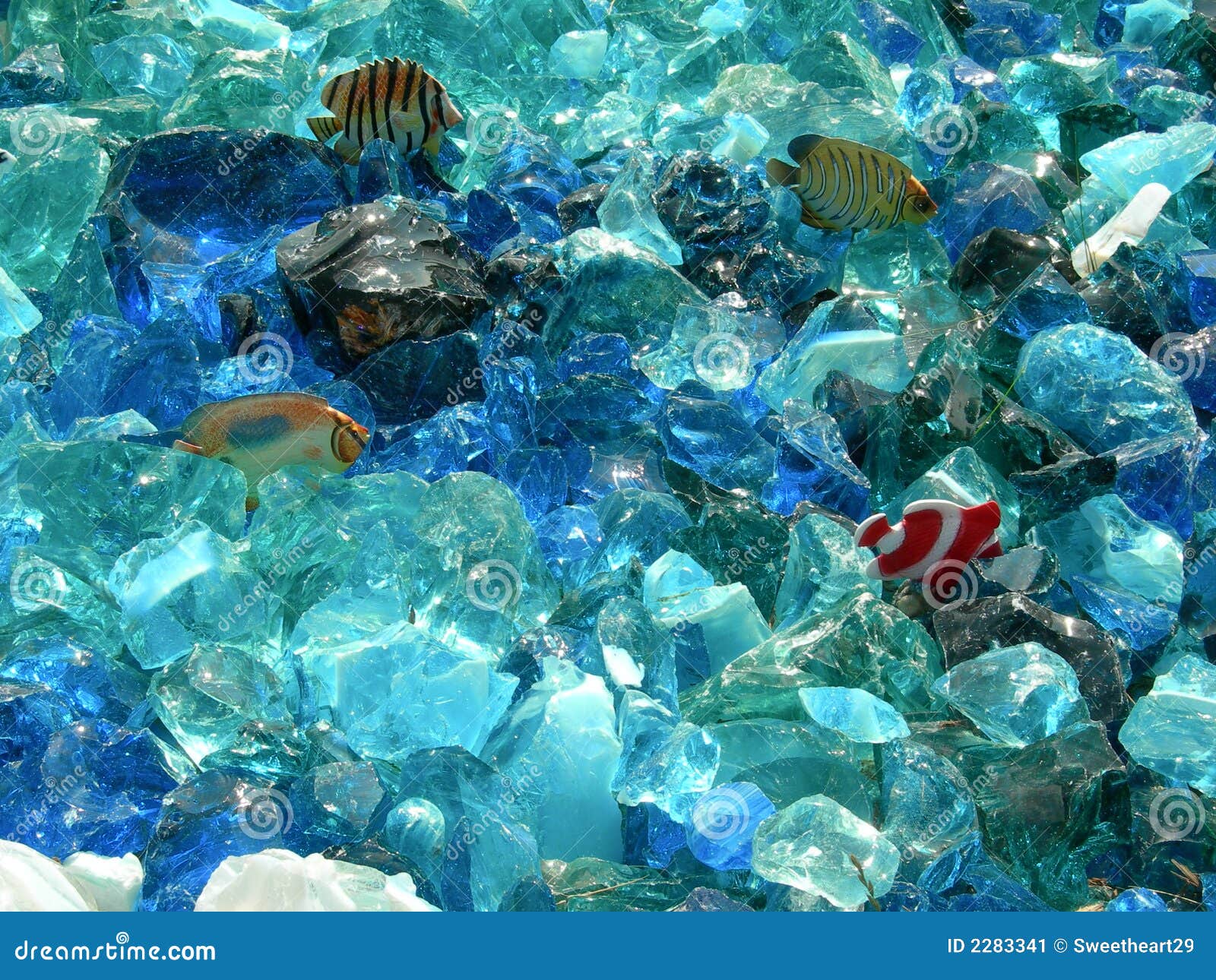 Glass and Fake Fish stock image. Image of undersea, glass - 2283341