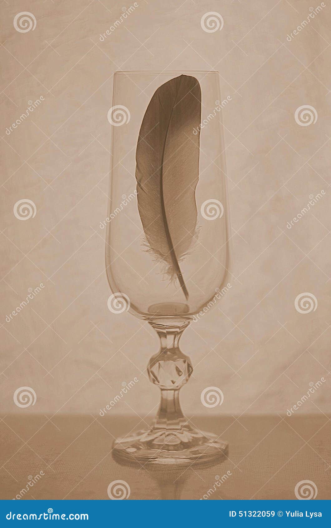 Glass with feathers stock image. Image of object, clear - 51322059