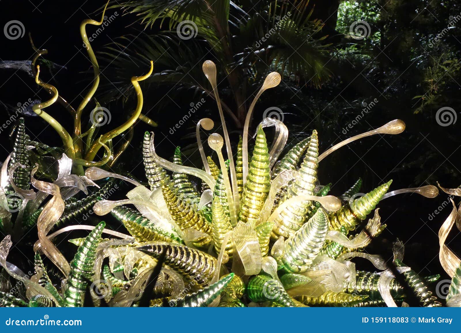 Glass Fly Traps editorial stock photo. Image of jungle - 159118083