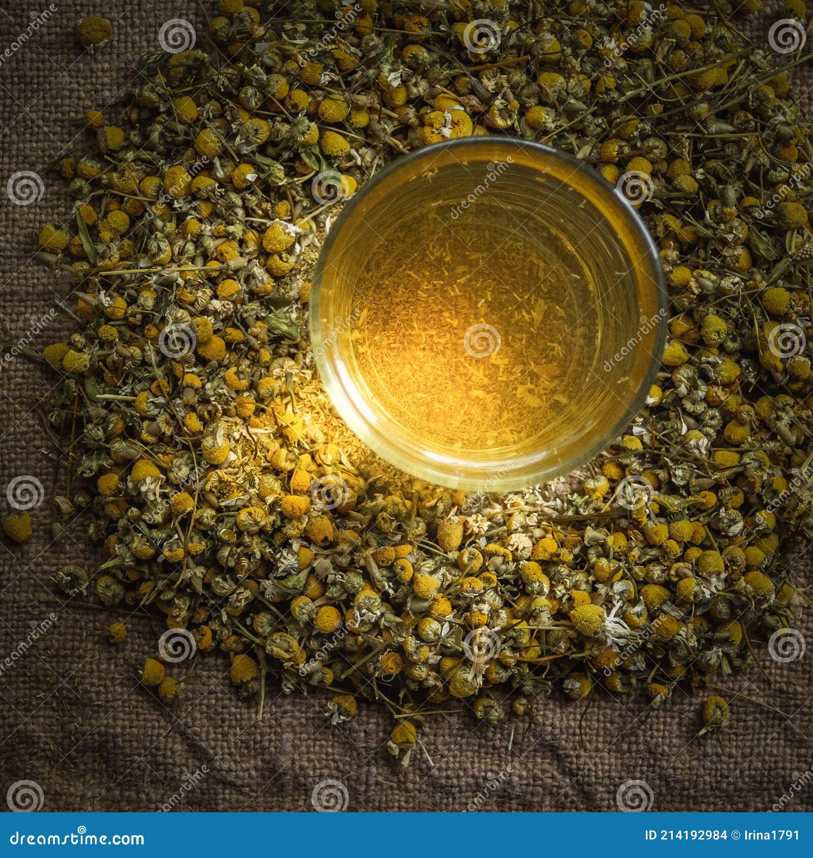 A Glass of Fresh Chamomile Tea Stock Photo - Image of flower, emotional ...