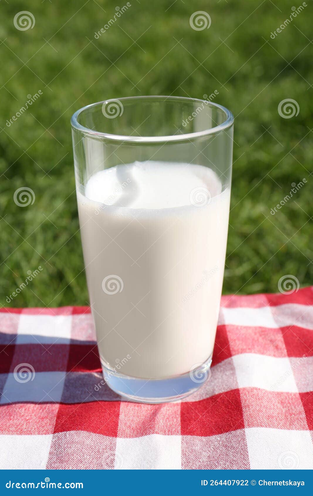 Glass of Fresh Milk on Checkered Blanket Outdoors Stock Photo - Image ...