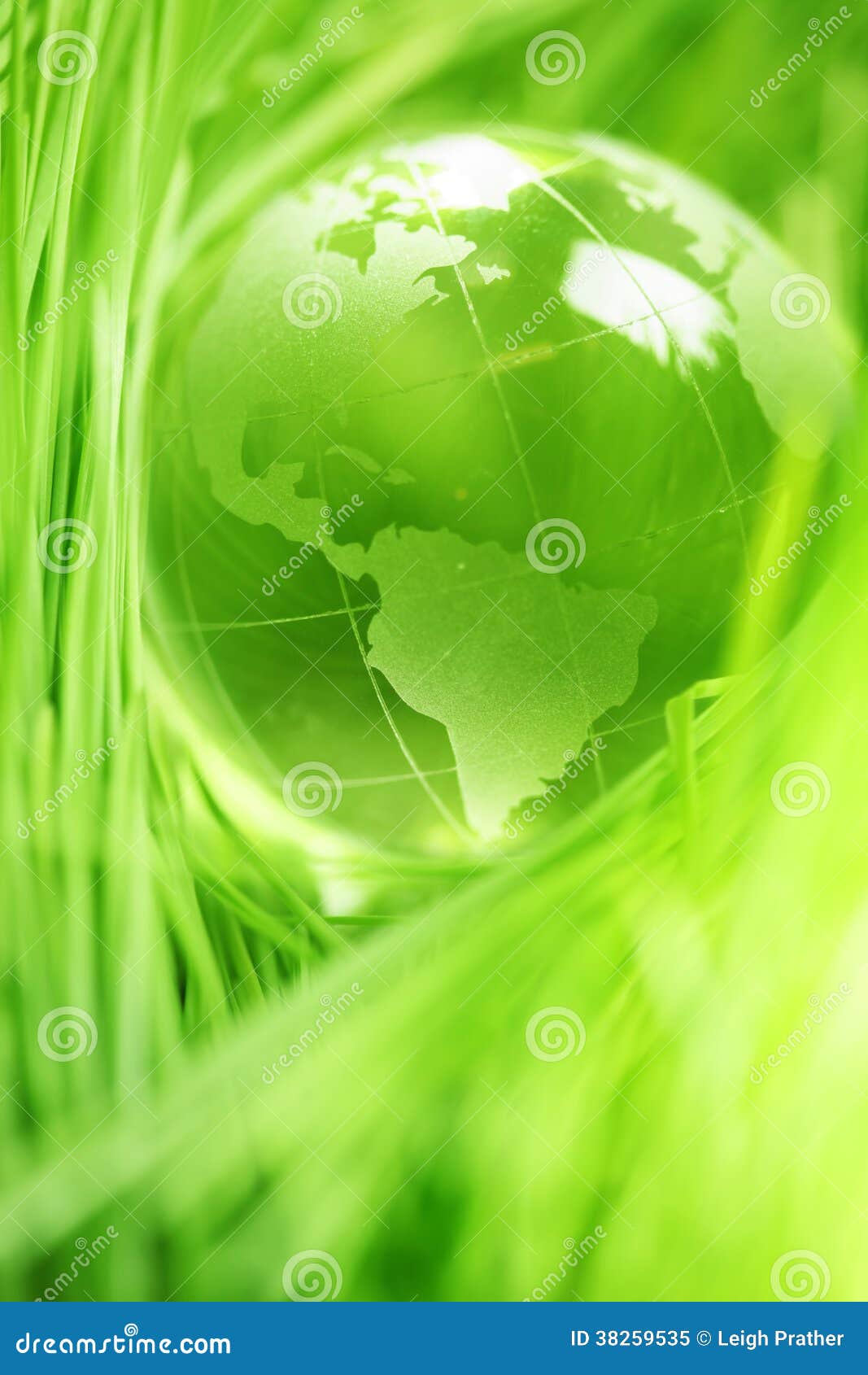 Glass globe in leaves stock image. Image of earth, glass - 38259535
