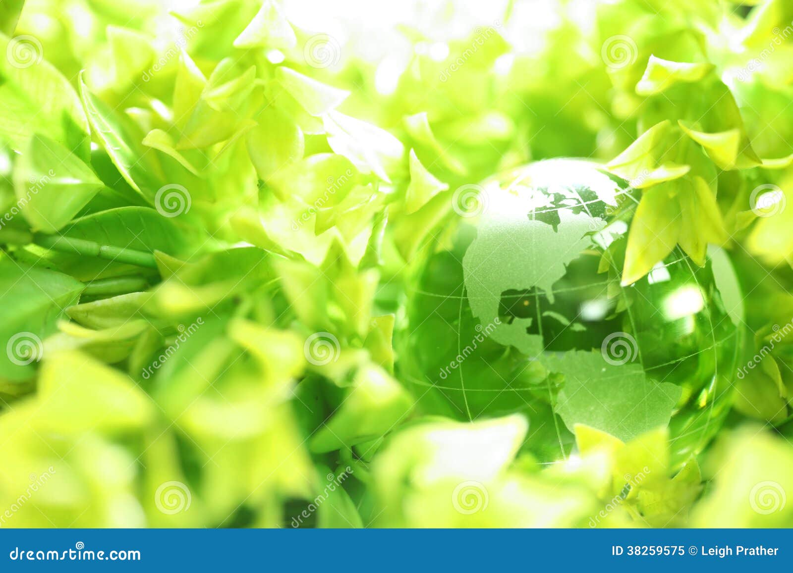 Glass globe in leaves stock image. Image of recycling - 38259575