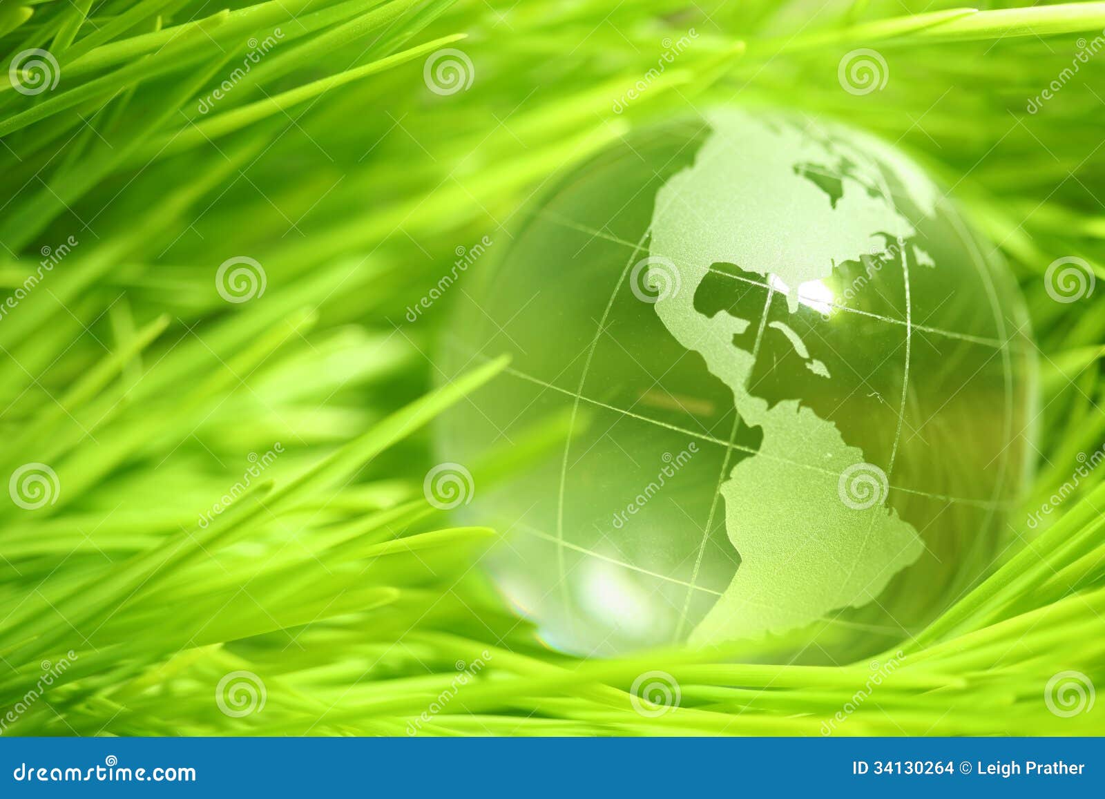 Glass globe in leaves stock photo. Image of nature, light - 34130264