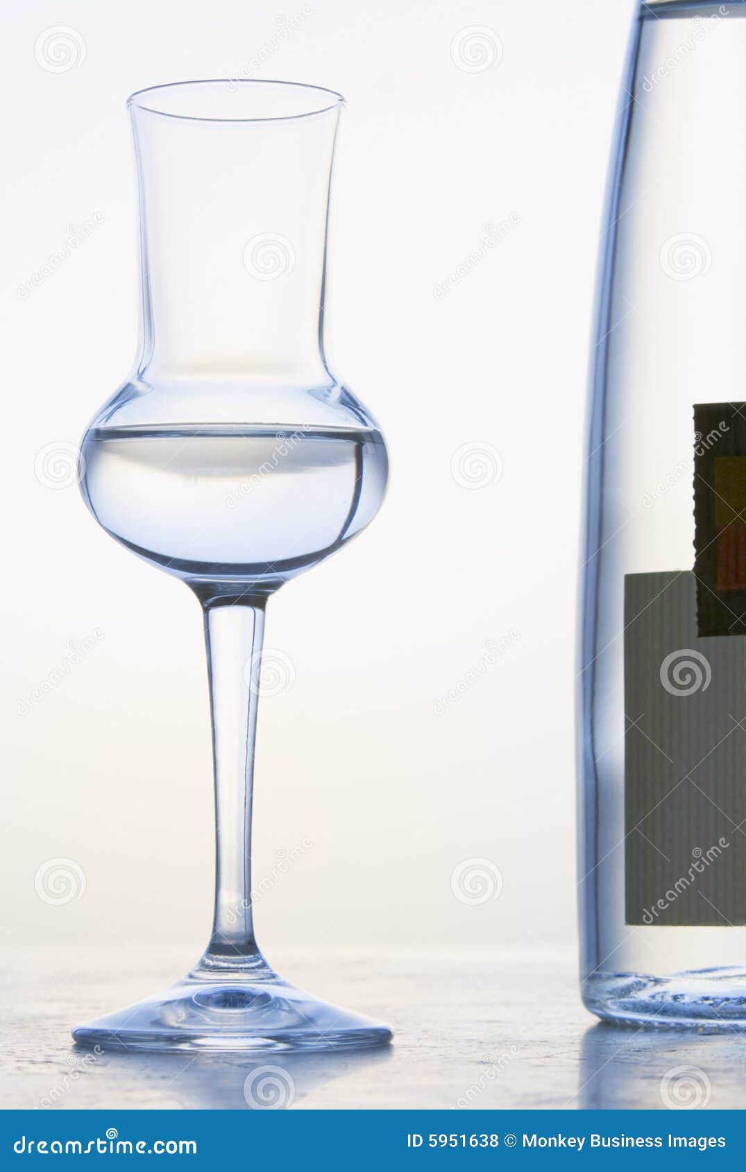 Glass of Grappa stock photo. Image of food, glass, pomace - 5951638