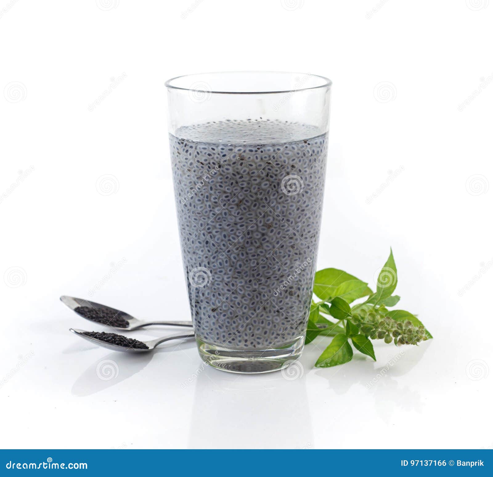 Hairy Basil Plant Grow Background. Lemon Basil Leaves. Vegetarian And ...