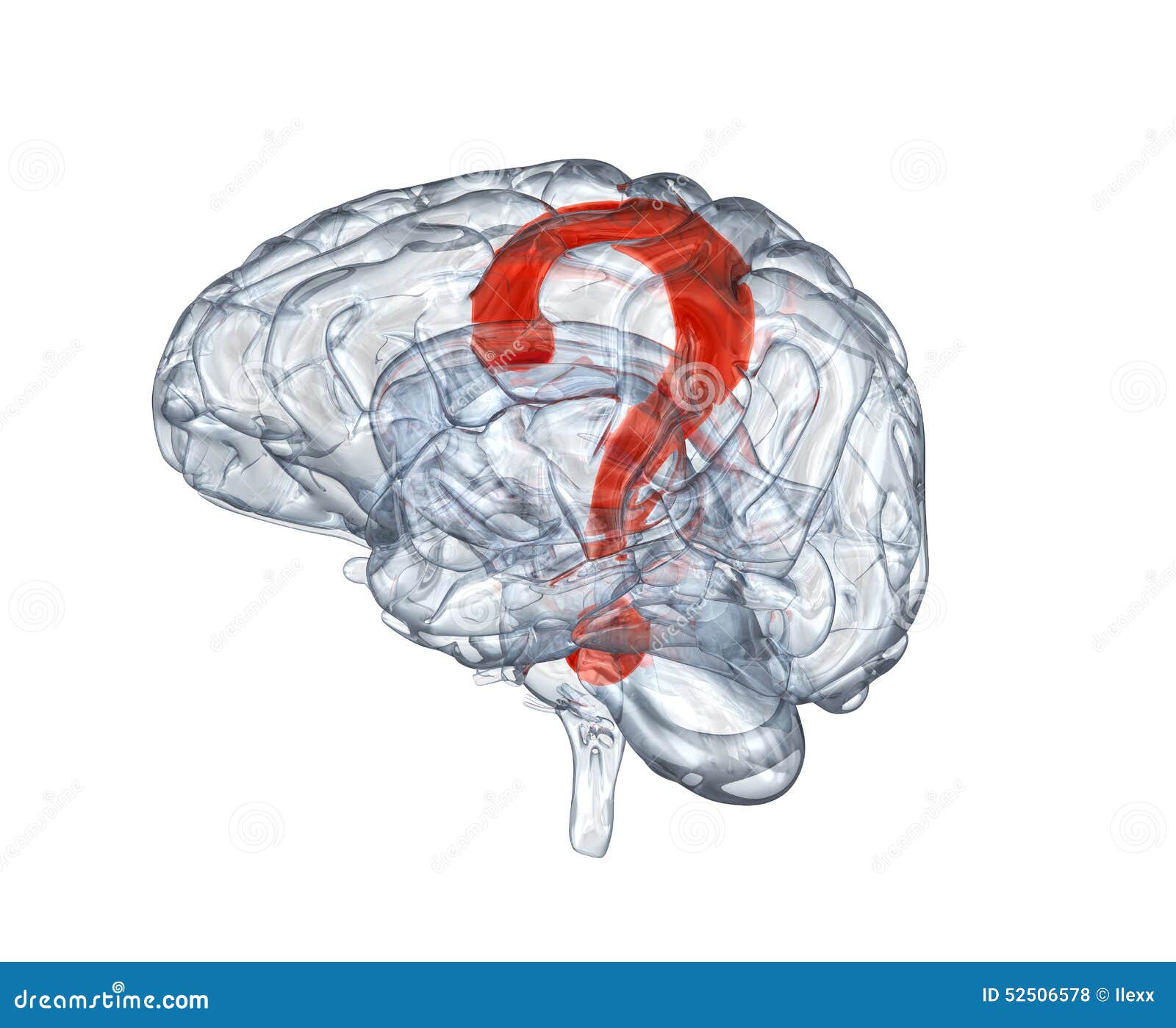 Glass Human Brain with Question Mark Stock Illustration - Illustration ...