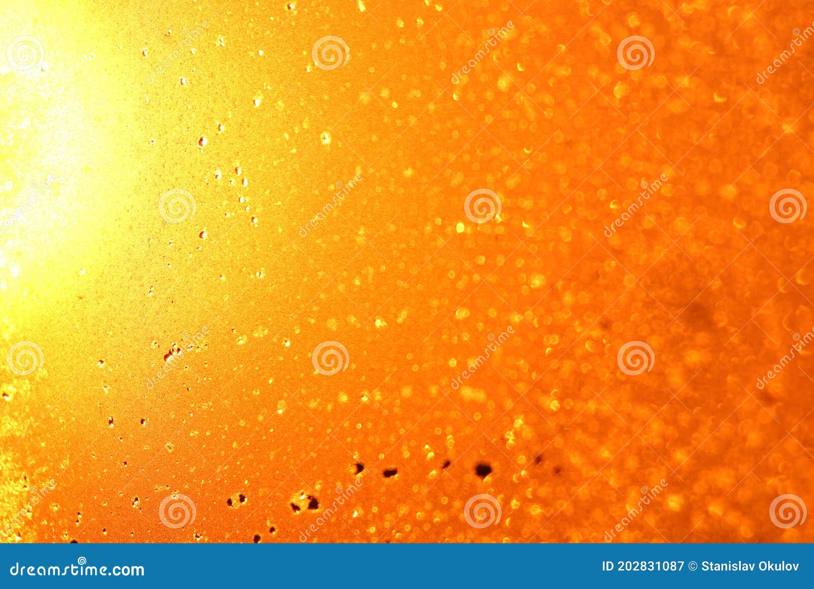 The Glass is Illuminated by the Sun at Sunset Stock Image - Image of ...