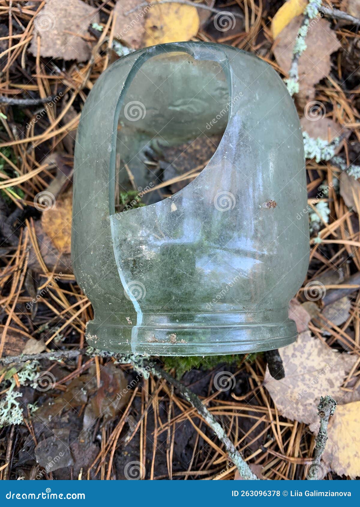 Glass jar in a forest stock photo. Image of grass, recycle - 263096378