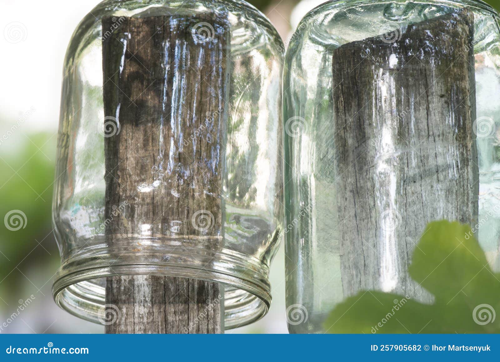 Glass Jars are Drying on the Fence Stock Photo - Image of conservation ...