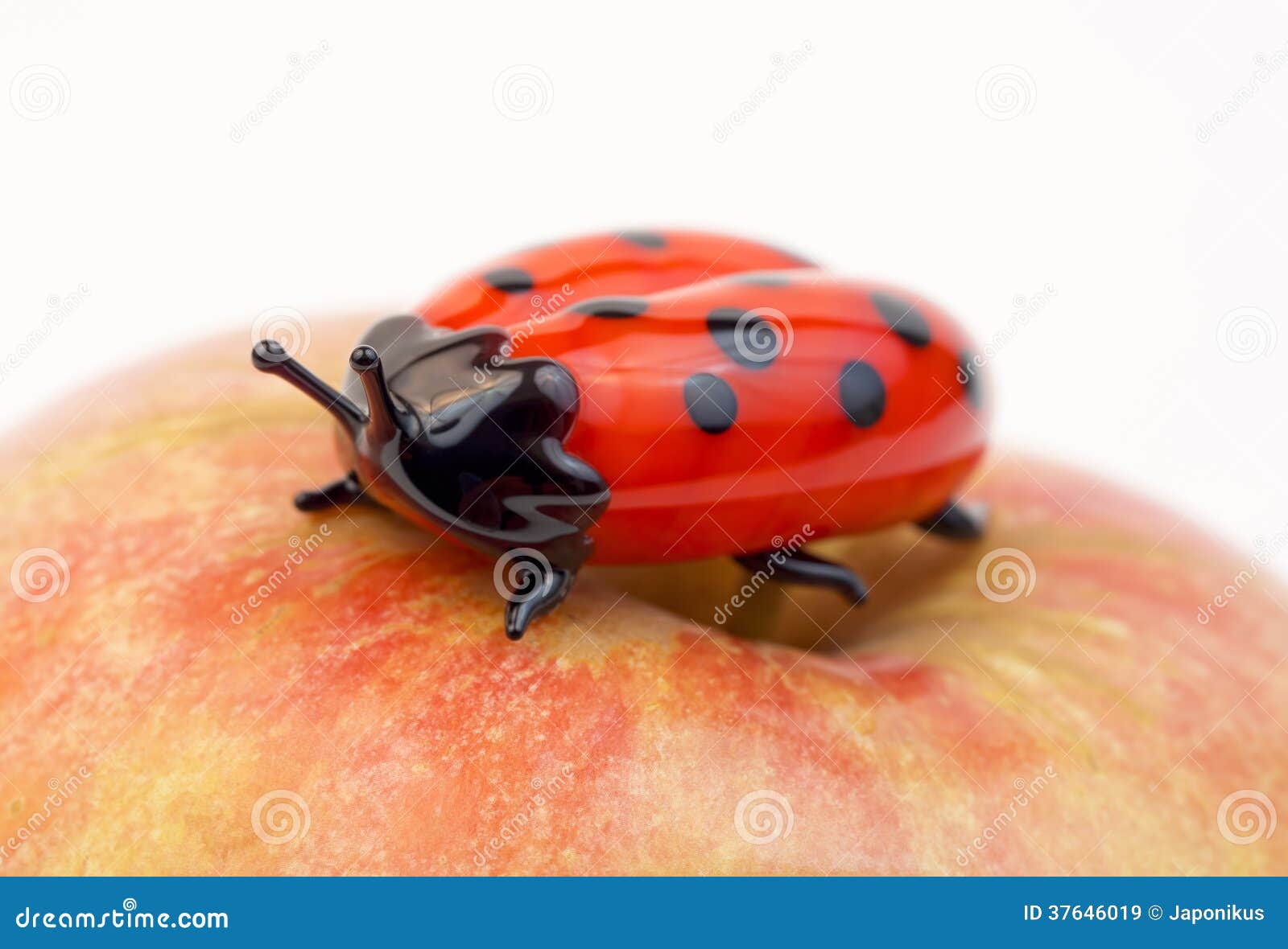 Glass ladybug on apple stock image. Image of food, head - 37646019