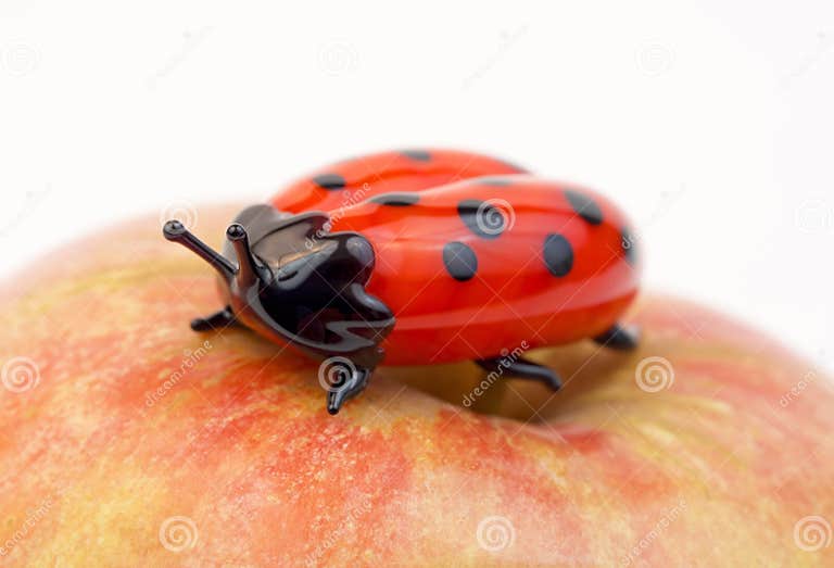 Glass ladybug on apple stock image. Image of food, head - 37646019