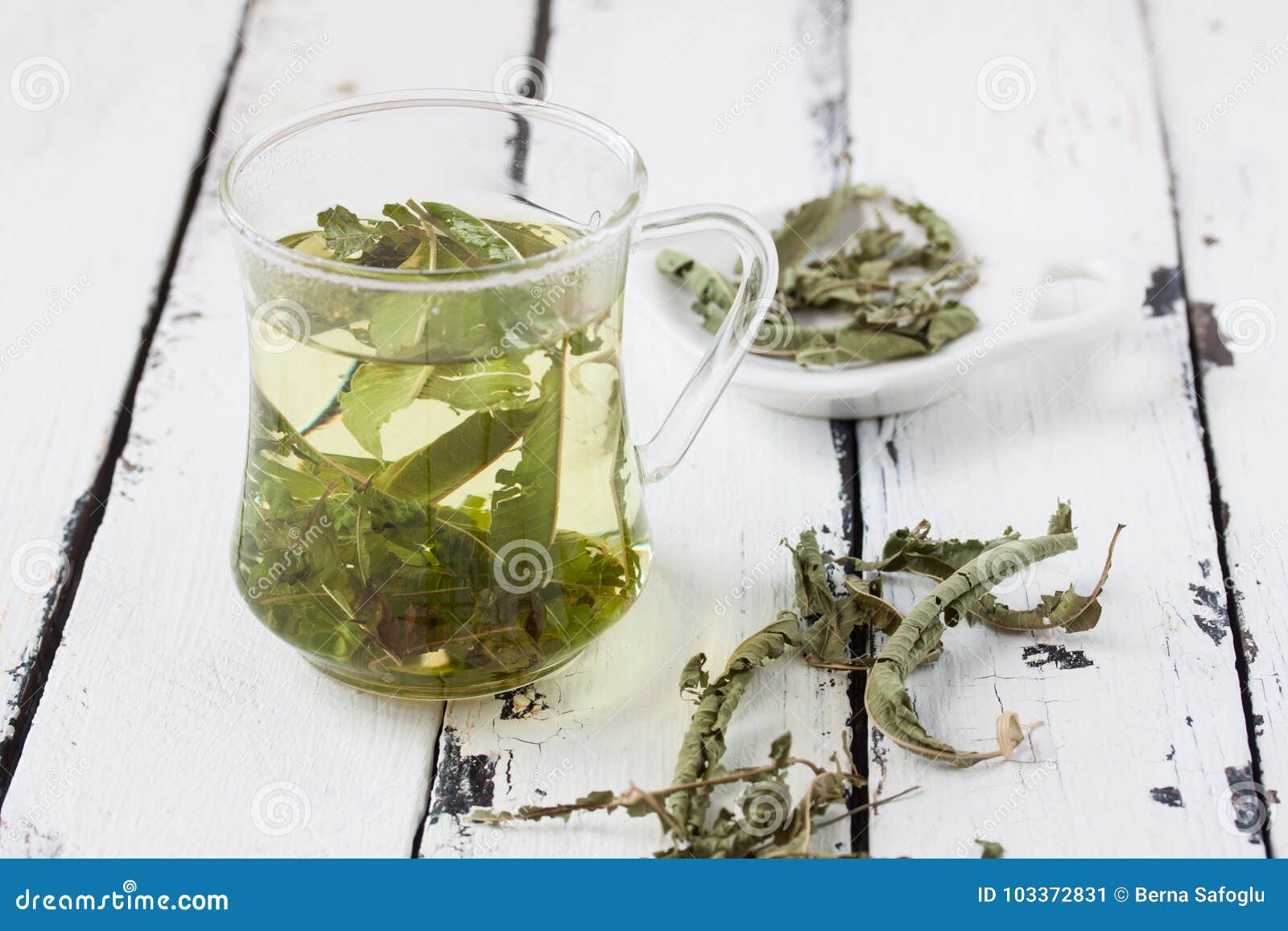 Lemon Balm, Melissa Officinalis, Group Of Mint Balm Fresh Plants ...