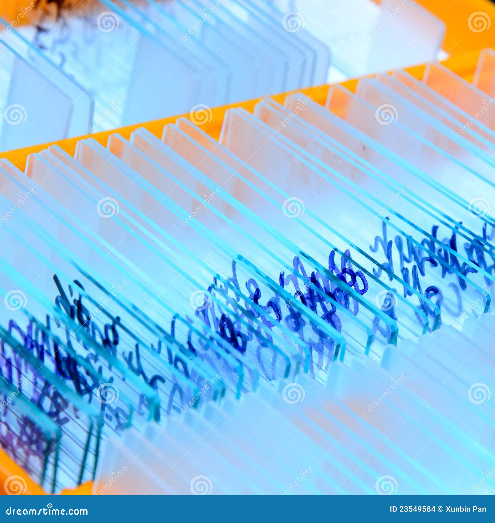 Glass microscope slide stock photo. Image of medical - 23549584