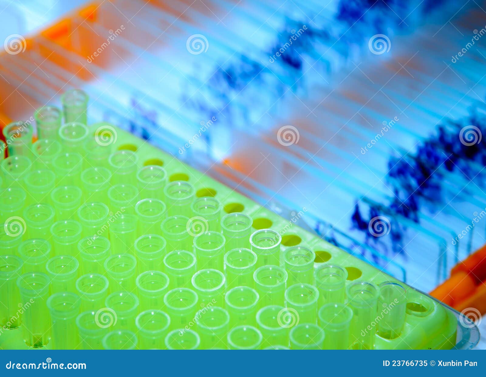Microscope Slide With Magnified View Of Human Blood Cells Royalty-Free ...