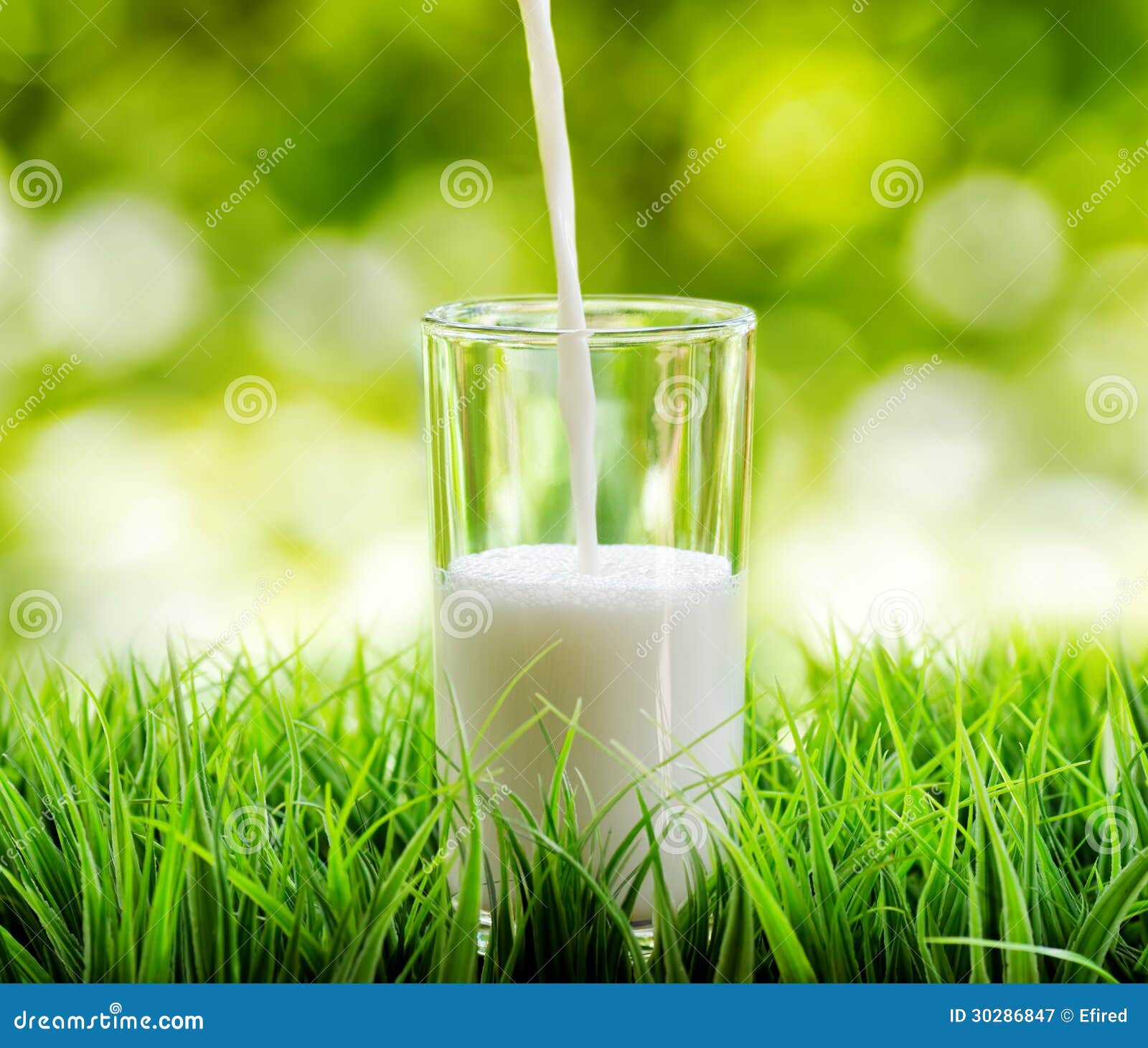 Glass of Milk on Nature Background Stock Image - Image of nutrition ...