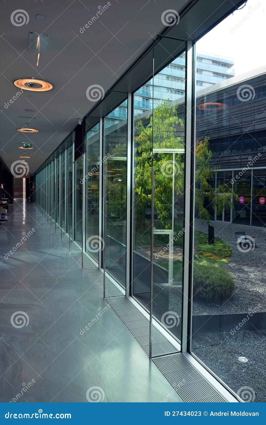 Glass Office Building Interior Stock Image - Image of inside, atrium ...