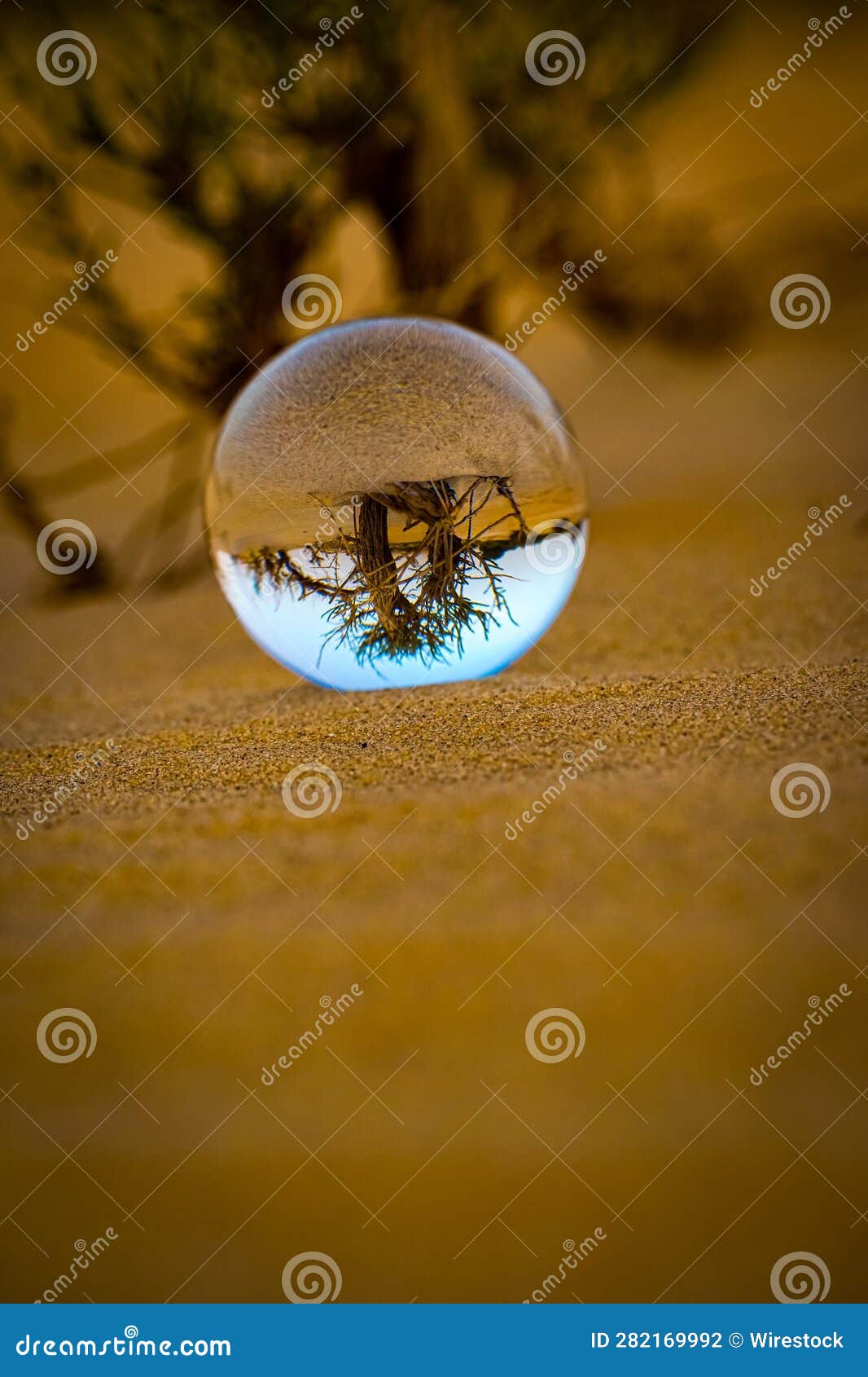 A Glass Orb Resting on the Sand of a Beach, with a Distant Tree ...