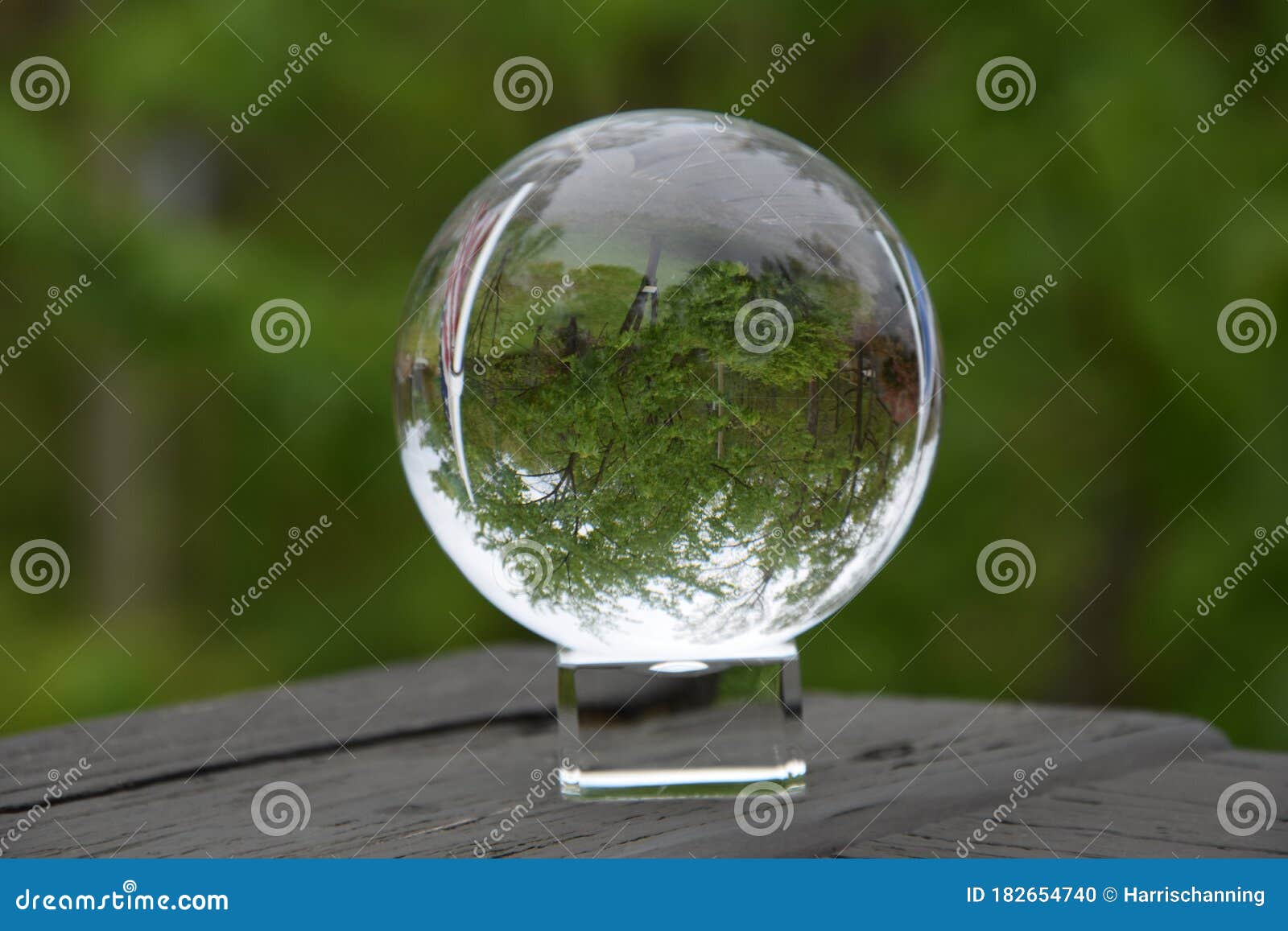 Glass Orb with Trees Inverted in the Glass Stock Photo - Image of ...