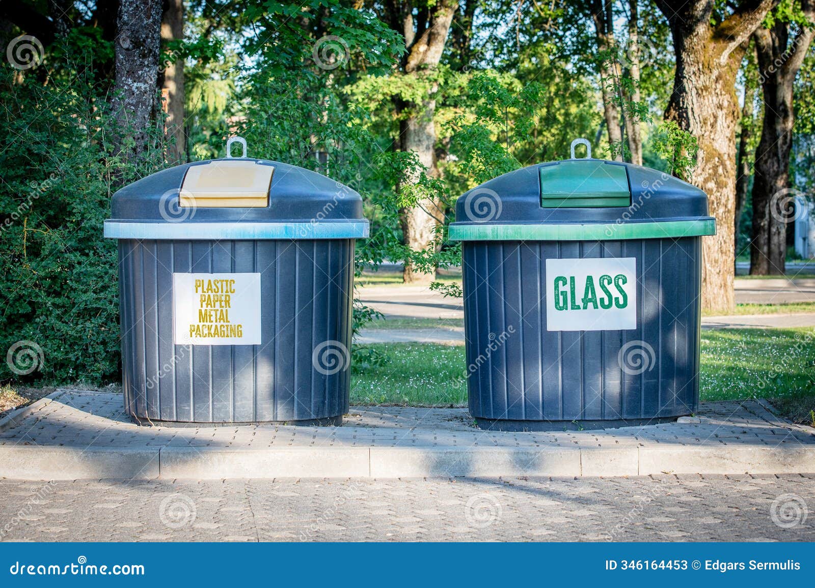 Paper Plastic-free Food Container, Vertical Top View. Single-use ...