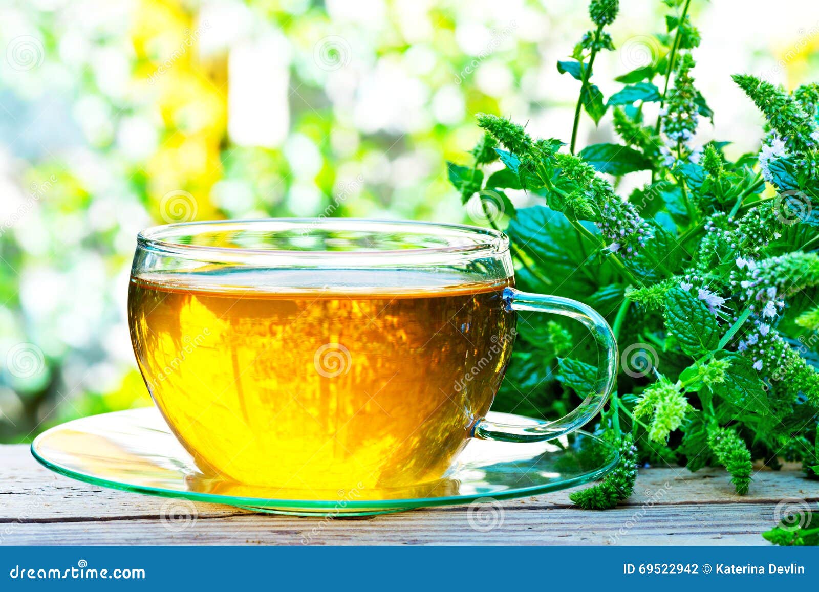 Glass of Peppermint Tea with Peppermint Plant Stock Photo - Image of ...