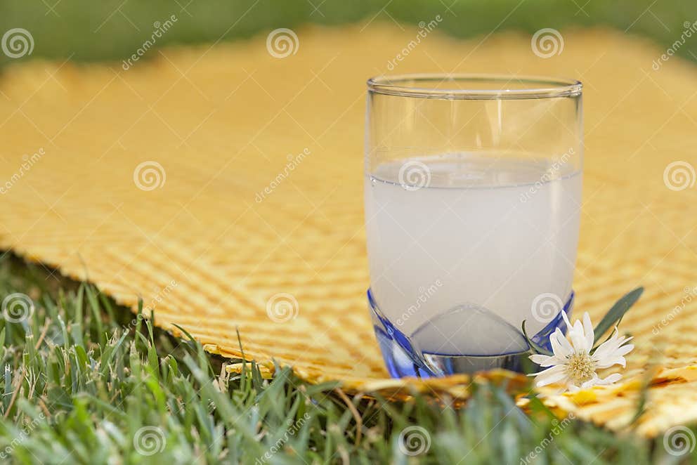 Glass stock photo. Image of glass, grass, cute, green - 32117782