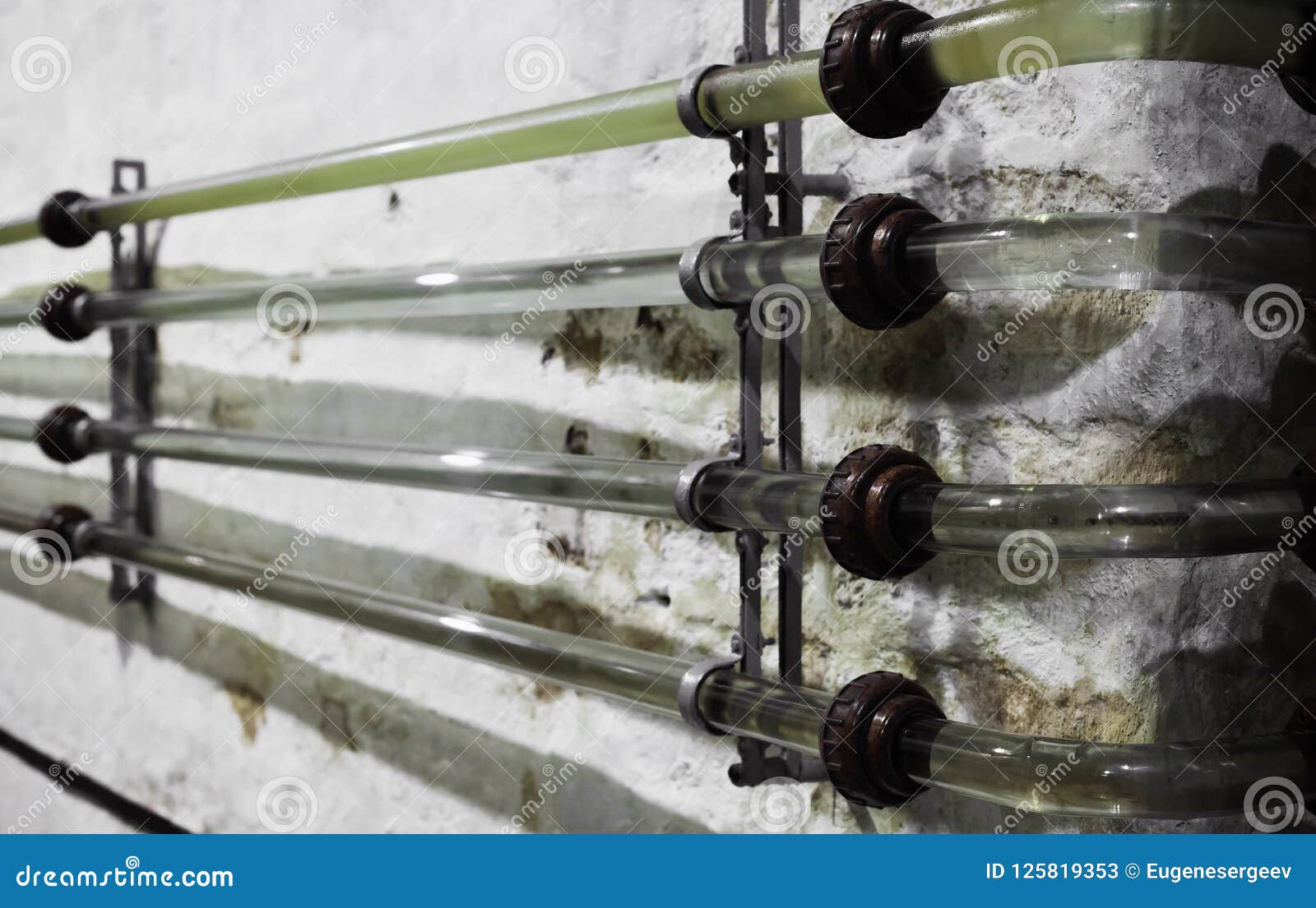 Glass Pipeline for Pumping Wine at Winery Stock Image - Image of drink ...