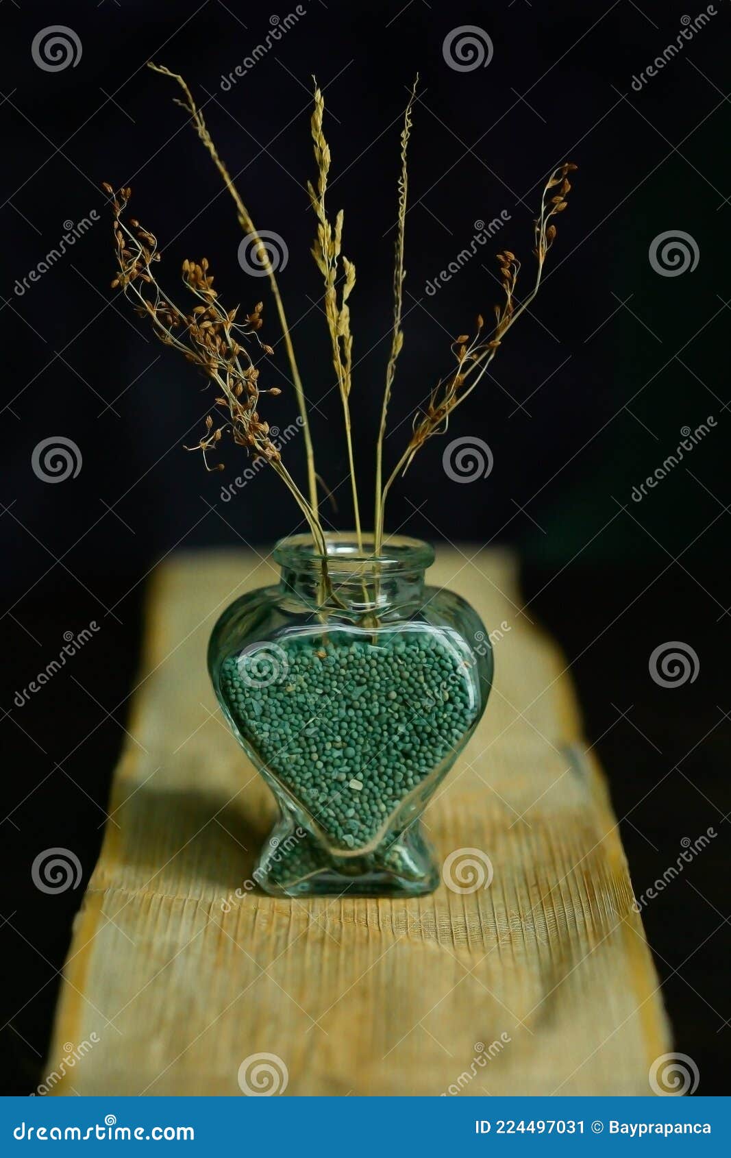 Glass Pot Filled with Small Shells Stock Image - Image of body, avoid ...