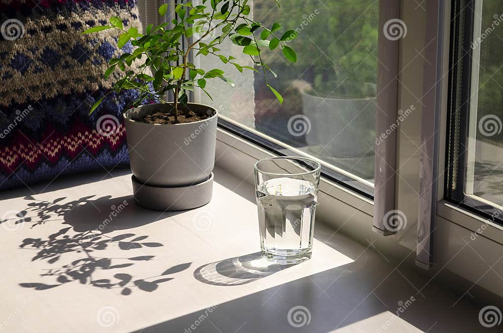 A Glass of Pure Spring Water and Sharp Shadows Stock Image - Image of ...