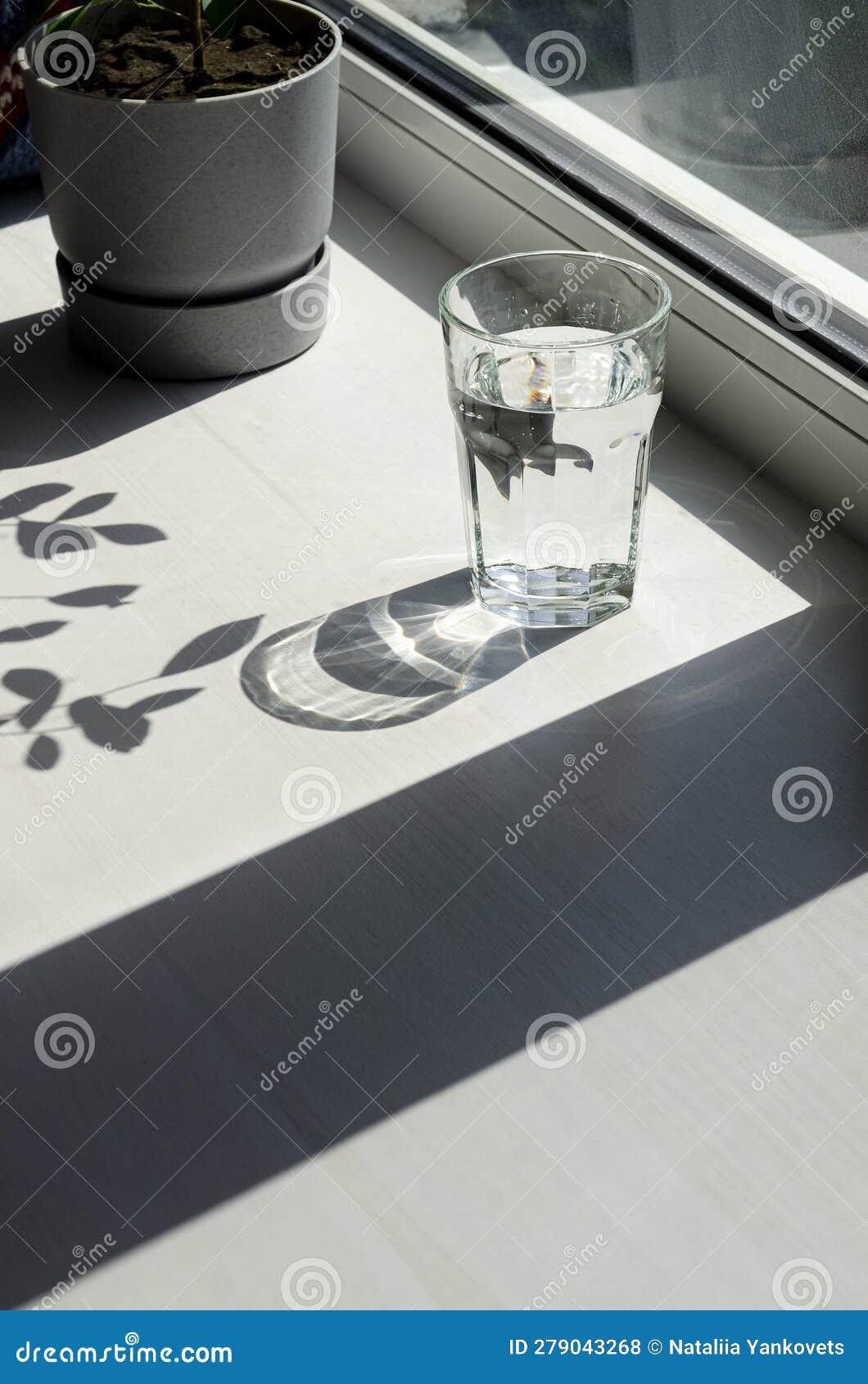 A Glass of Pure Spring Water and Sharp Shadows Stock Photo - Image of ...