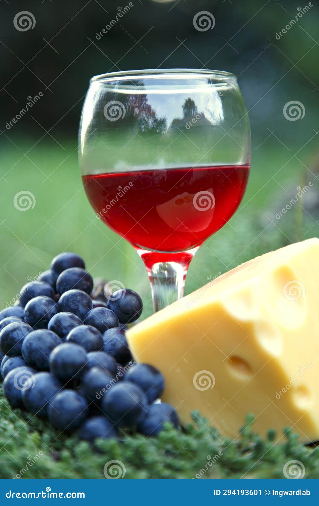 A Glass of Red Wine in a Glass of Grapes and Cheese. Composition of Red ...