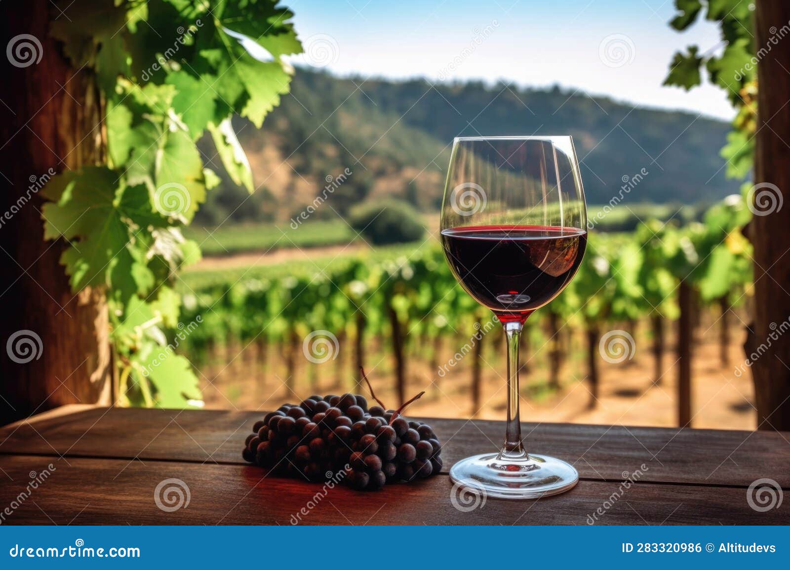 A Glass of Red Wine with a Vineyard Backdrop Stock Illustration ...