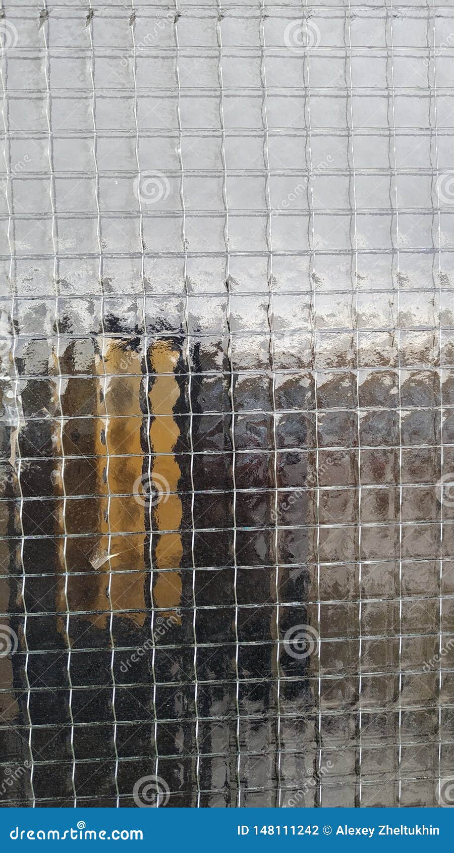 Glass Reinforced with Reinforced Wire. Texture. Background Stock Photo ...