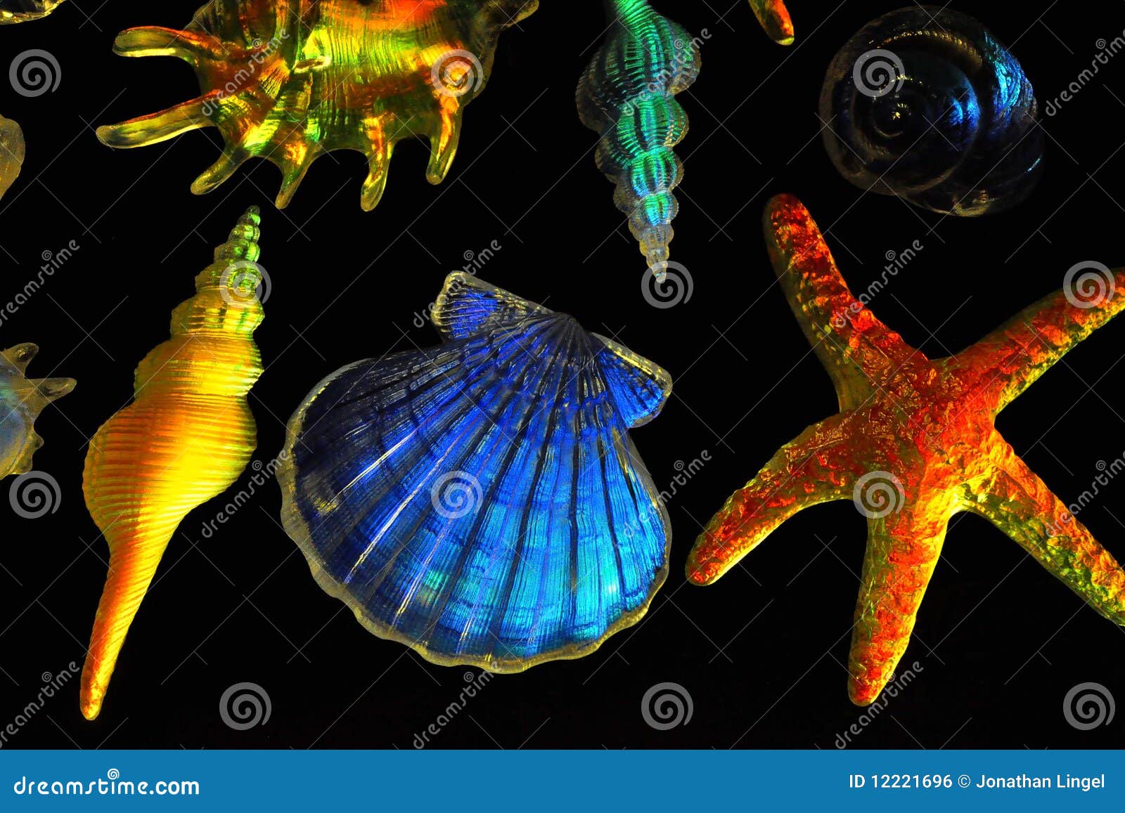 Glass shells stock photo. Image of life, transparent - 12221696