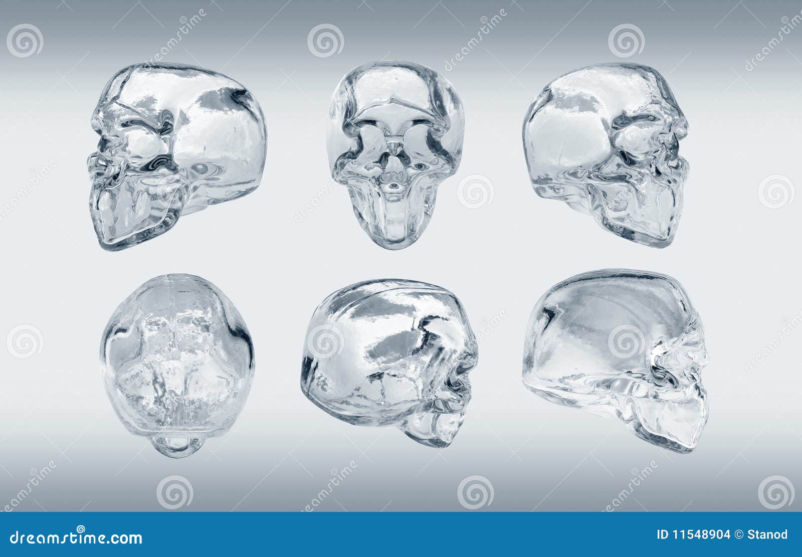 Glass skull stock photo. Image of human, skeleton, death - 11548904