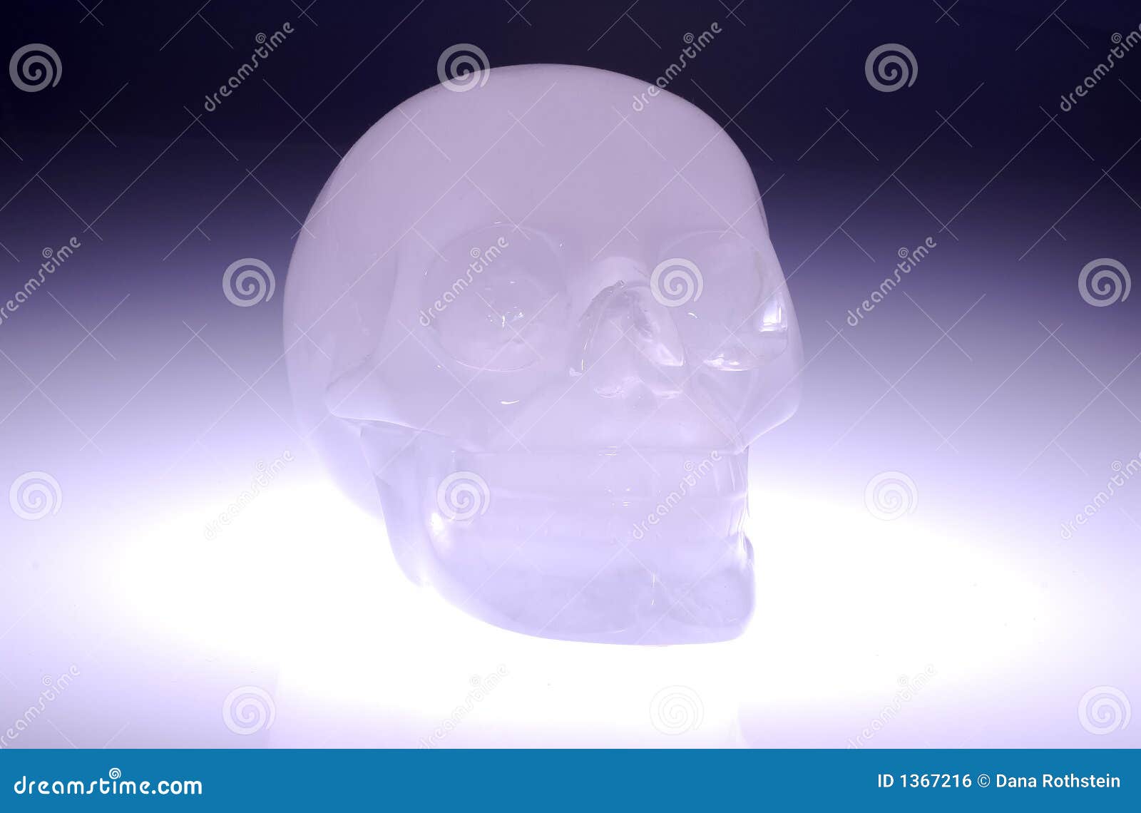 249 Skull Relic Stock Photos - Free & Royalty-Free Stock Photos from ...