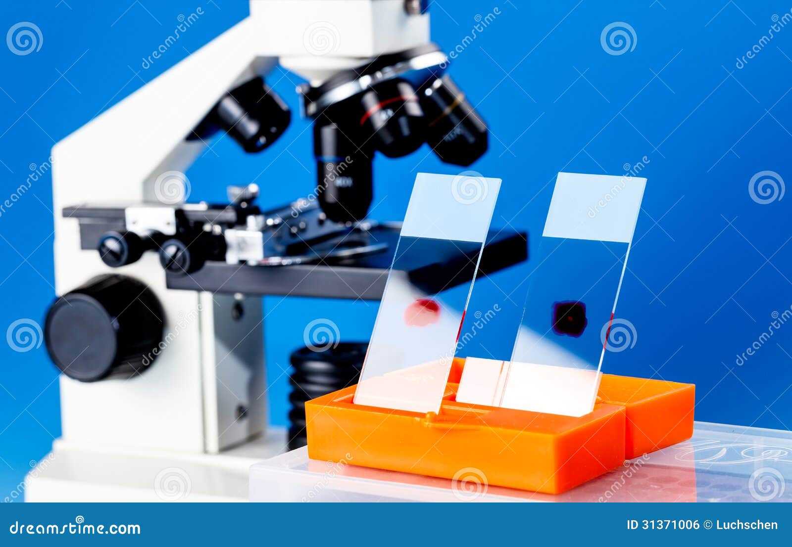 Glass slides stock photo. Image of microbiology, research - 31371006