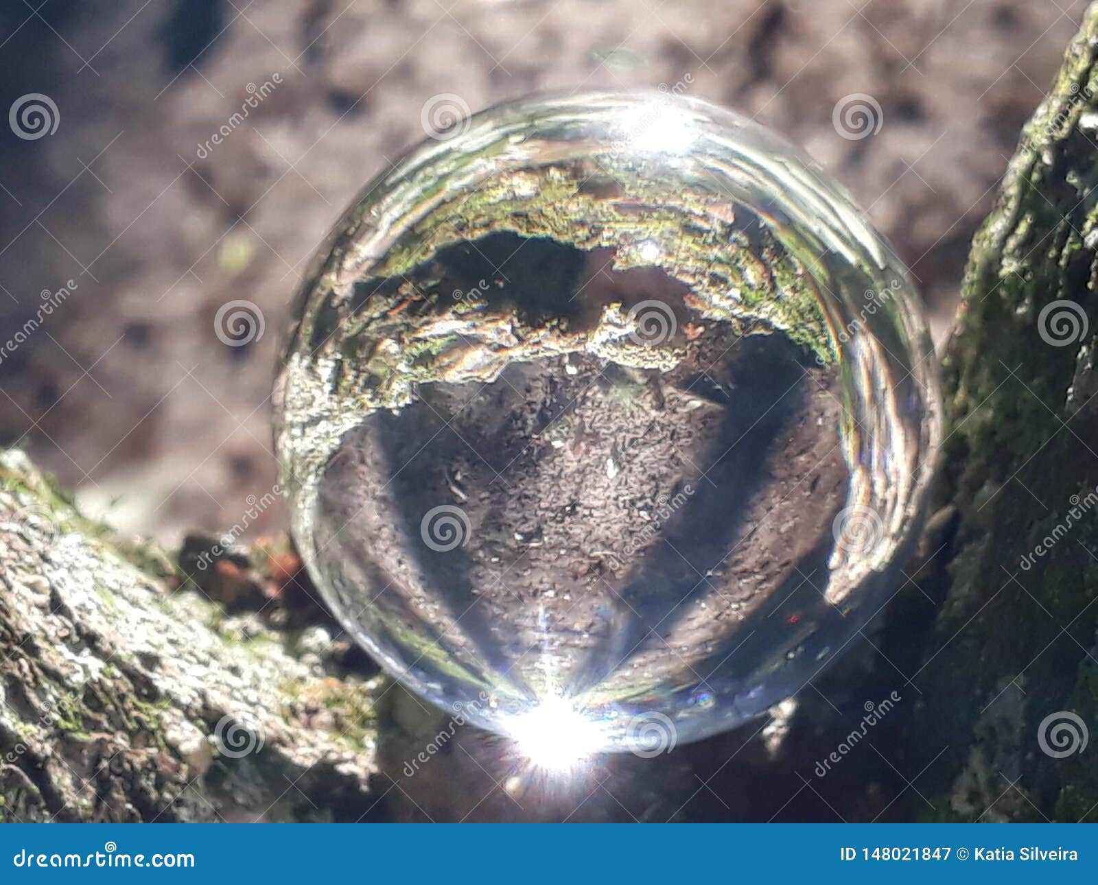 Glass sphere stock image. Image of beautiful, inverted - 148021847